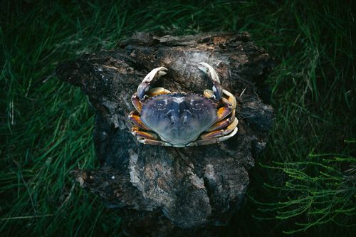 North 53 - Overhaul Media